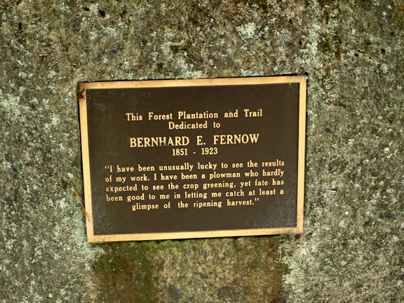 SWIMMING THROUGH THREES: The Fernow Plantation Loop: A short family ...